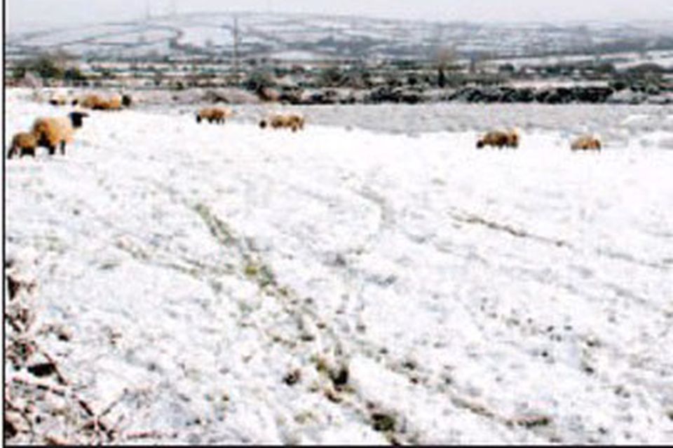 Snow way! | Irish Independent