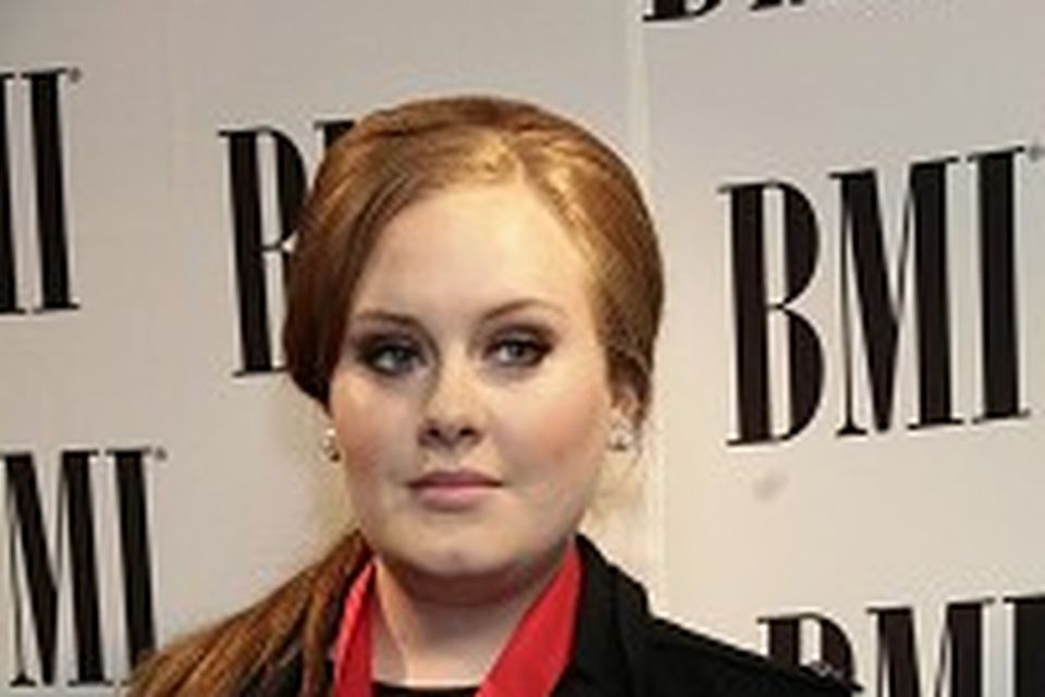 Adele makes US producer nervous | Irish Independent