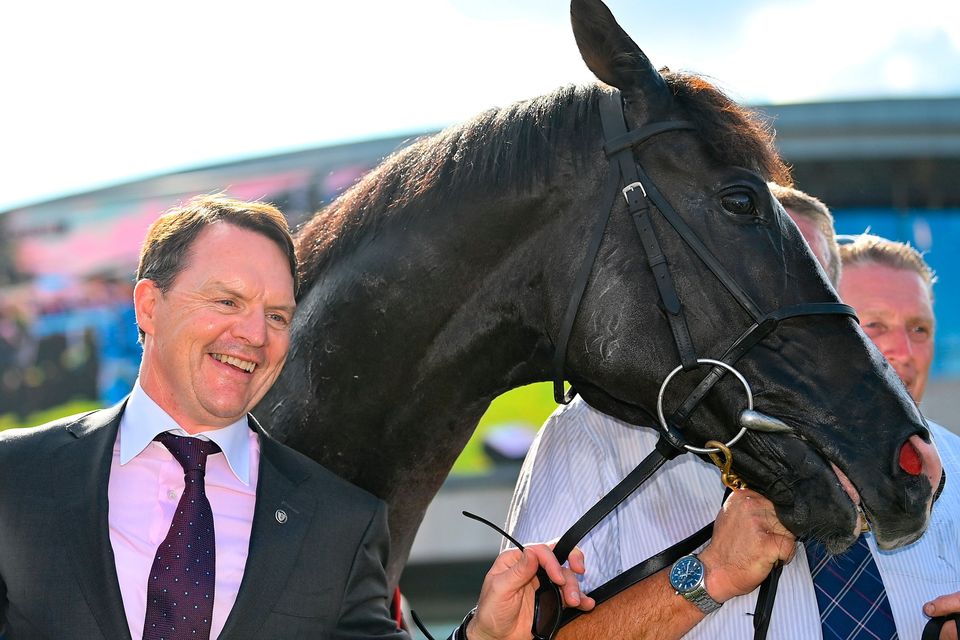 Michael Verney: ‘It’s 4,000 not out for Aidan O’Brien and the best ...