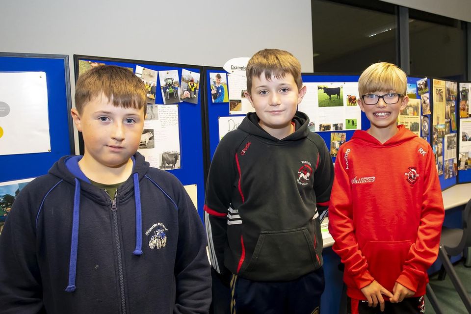 Around the Districts: St Leonards to Tullogher-Rosbercon | Irish ...