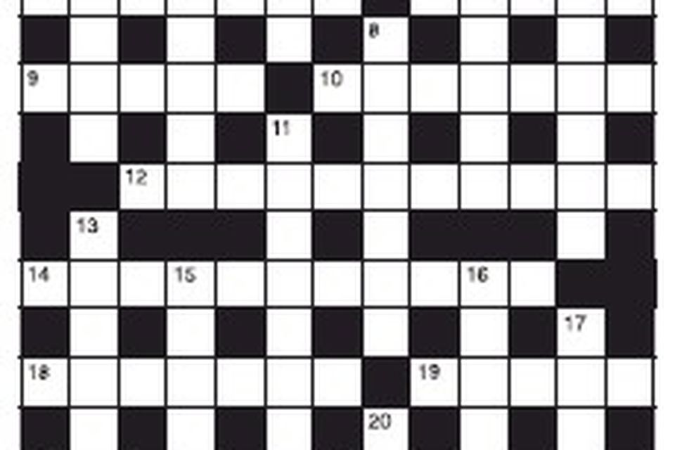 2-Speed Crossword | Irish Independent