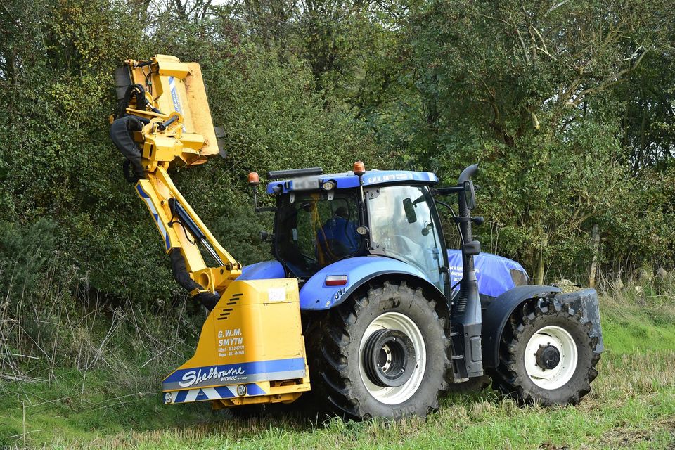 All you need to know about hedge-cutting regulations | Irish Independent