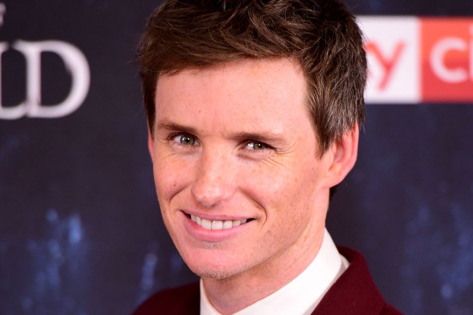 Eddie Redmayne and Zoe Kravitz take part in prank interview for ...