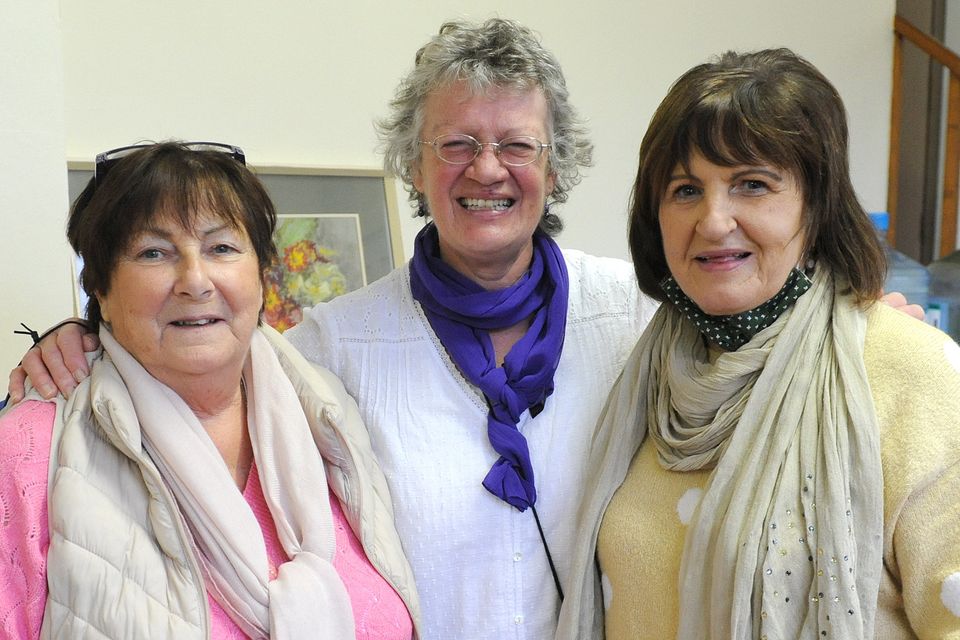 Carlingford wins a second bronze in 2022 Tidy Towns | Irish Independent