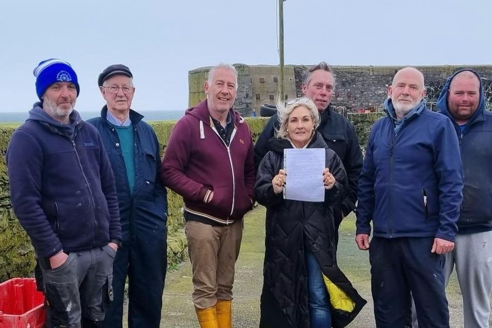 Funding appeal for Co Wexford fishing community | Irish Independent