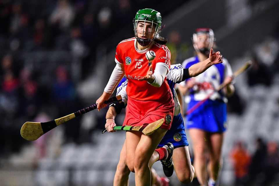 Rising Rebel star Healy ready to battle the old enemy in Tribal warfare ...