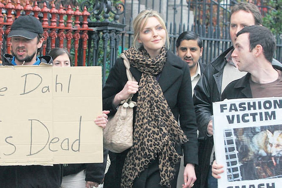 Fur furore | Irish Independent