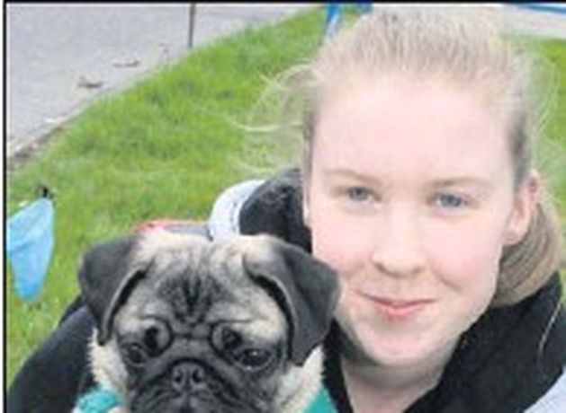 Pooch power walk! | Independent.ie