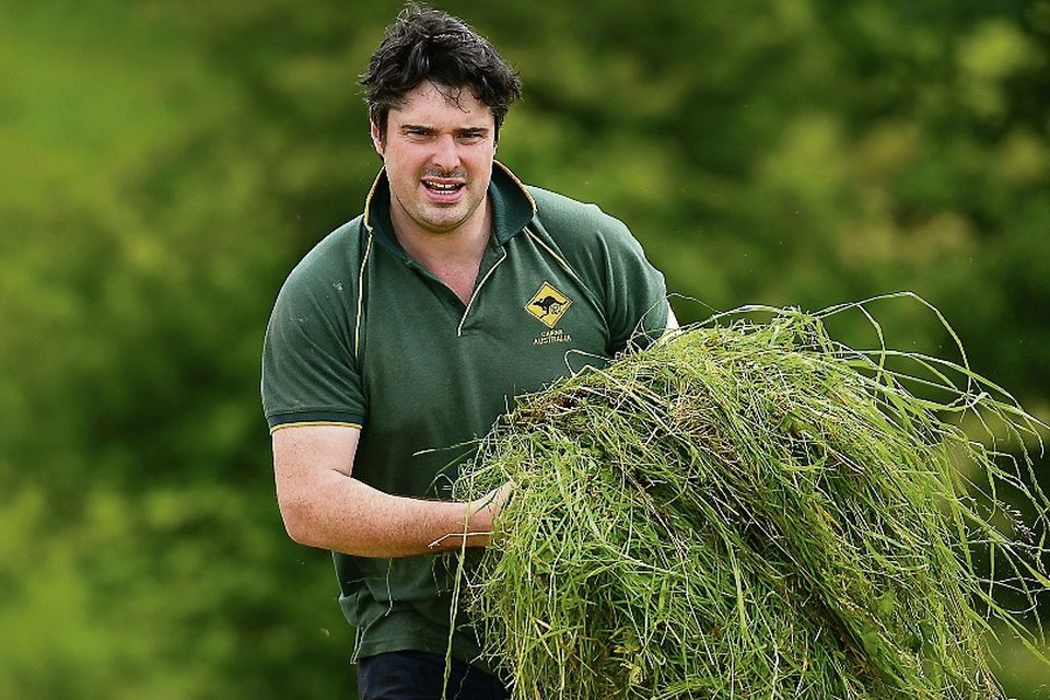 Drop in cattle trade hits hay and silage prices hard | Irish Independent
