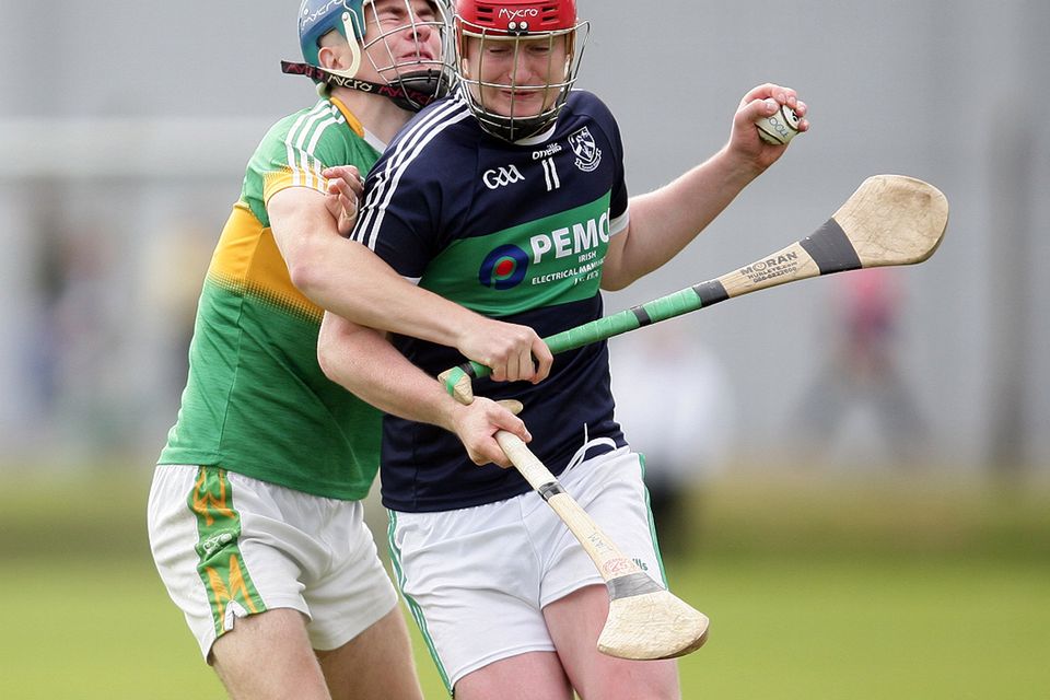Seanie McDonagh stars as Bray Emmets storm to IHC crown with victory ...