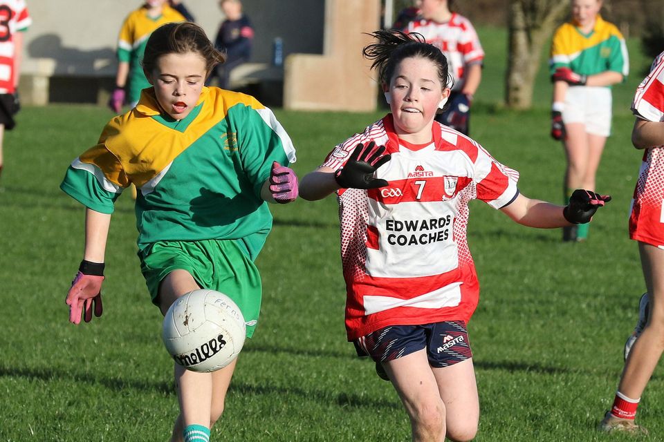 Róisín leads charge for Ferns as they shake off Cushinstown in extra ...