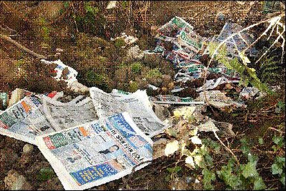 Littering prompts call for action from estate residents | Irish Independent