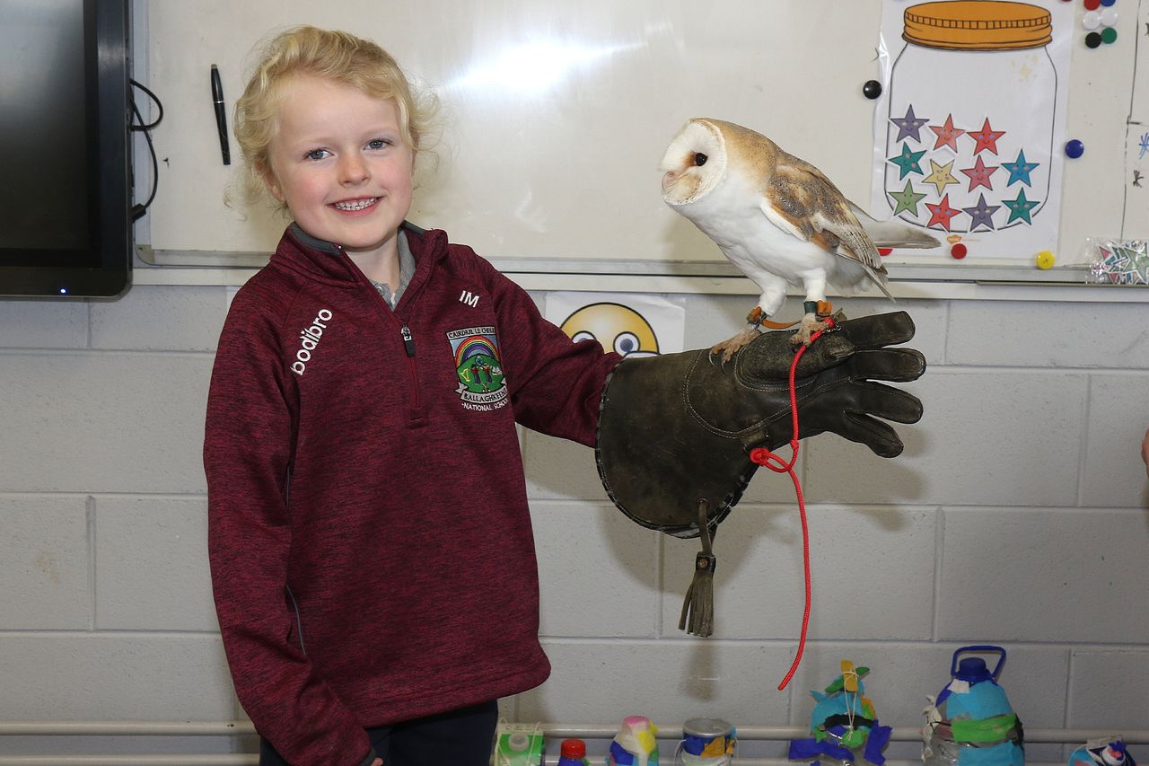 Co Wexford students meet endangered owls | Irish Independent