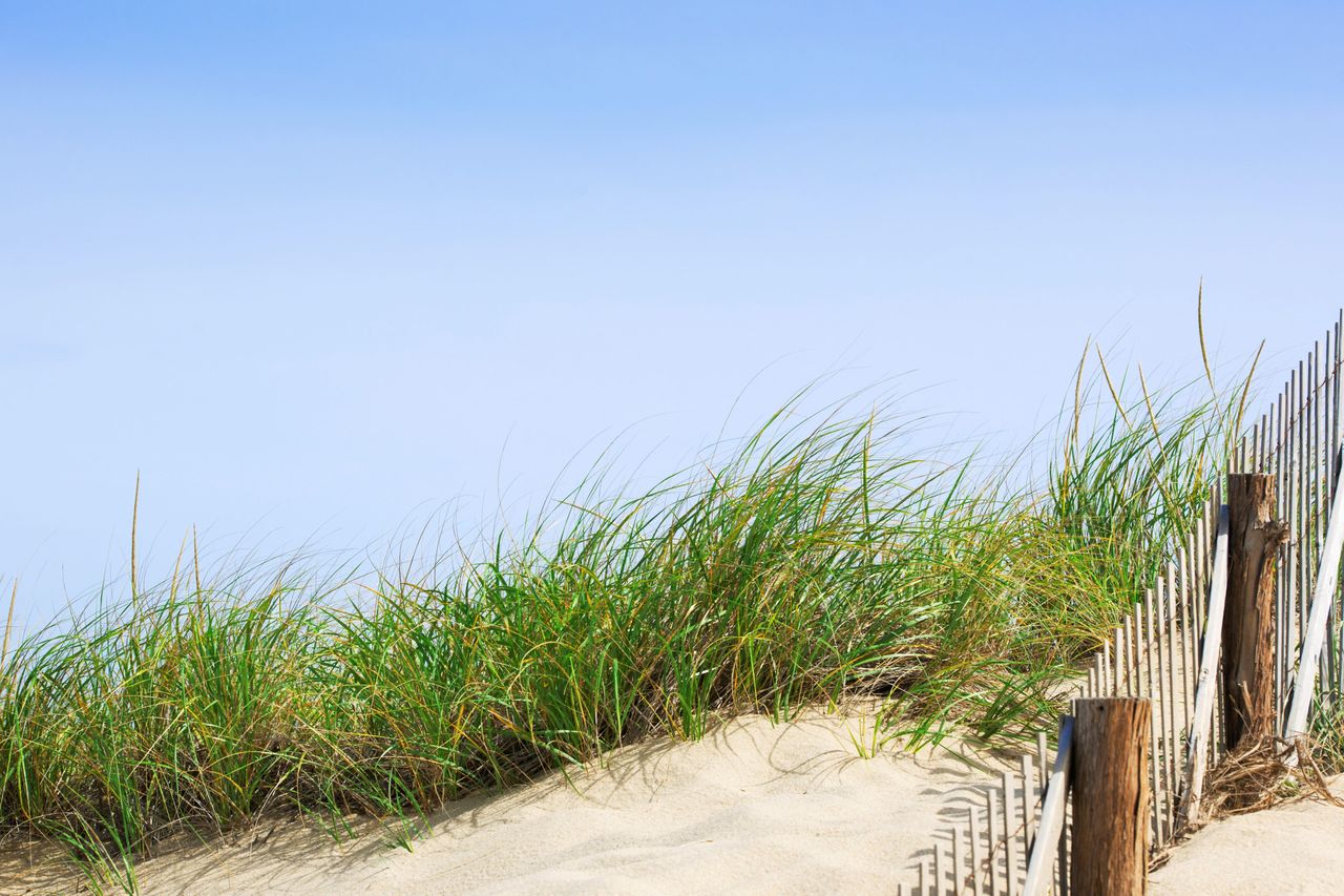 Cape Cod, USA: A Cape crusading road trip | Irish Independent