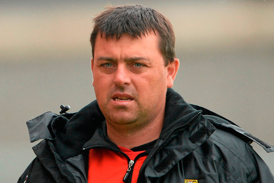 Ryan and Kelly set for midland roles | Irish Independent