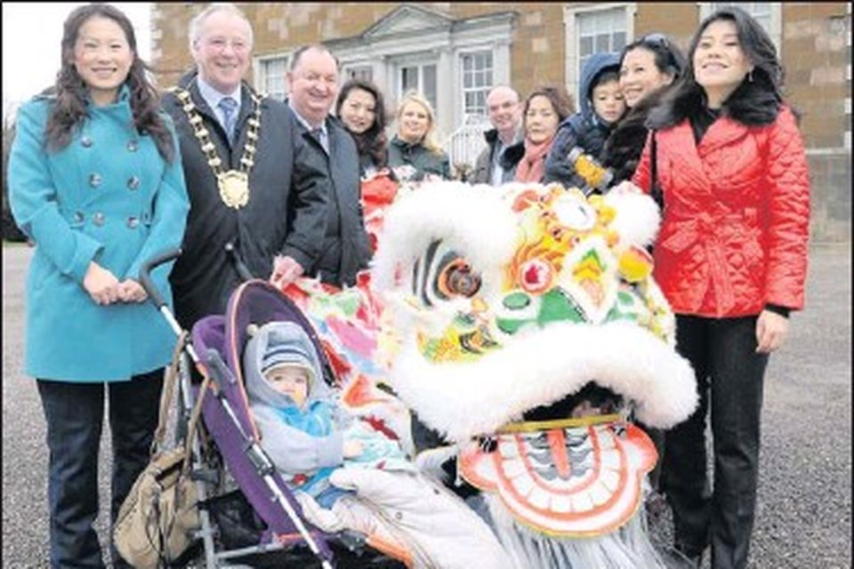 Dragon dance with an Irish touch | Irish Independent