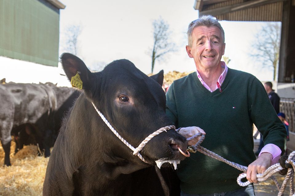 Michael O’Leary: ‘I hope all my children will become young farmers ...