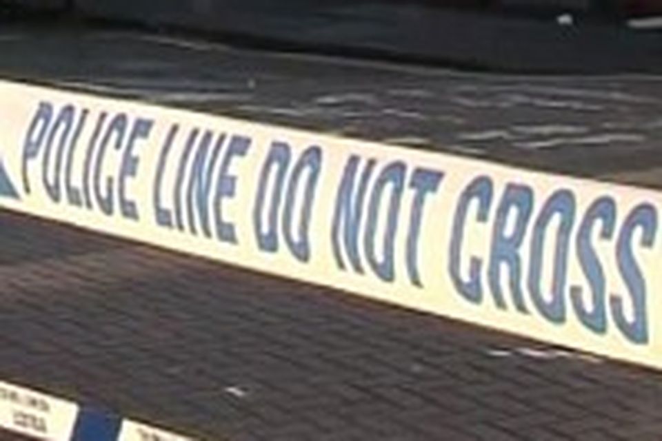 Officer's leg broken by stolen car | Irish Independent