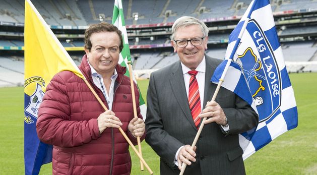 Eight projects flying the flag for Fingal | Irish Independent
