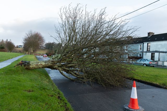 Pictures show the aftermath of Storm Isha in Sligo as clean-up is ...