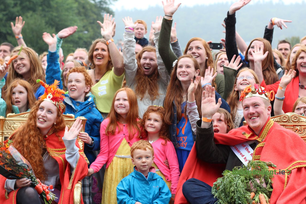 Gingers face extinction due to climate change, scientists warn | Irish ...