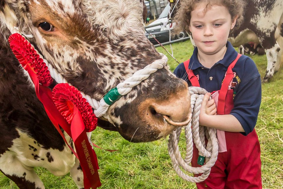 An ancient and durable breed | Irish Independent