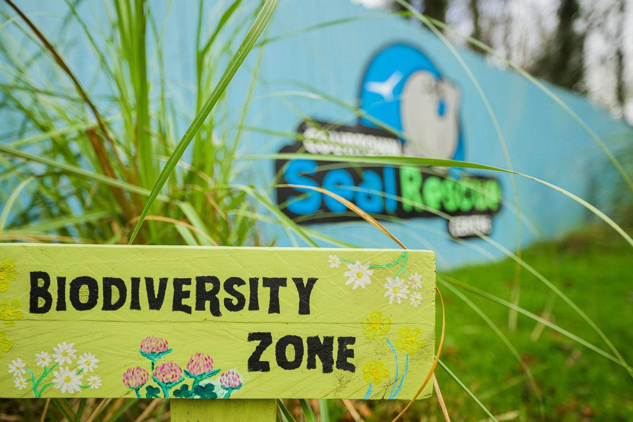 Mitigating flood damage and increasing biodiversity are just some of ...