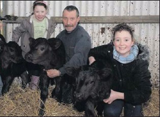 IFA Chair urges caution over origins of livestock Hello, hello, hello ...