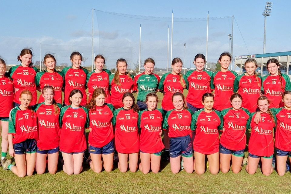 Gorey CS pipped by Ardee in epic final | Irish Independent