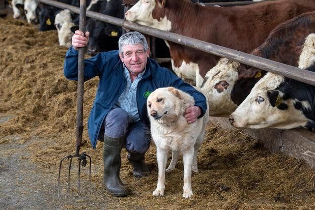 Kerry IFA’s Kenny Jones speaks out after complaint he made against ...