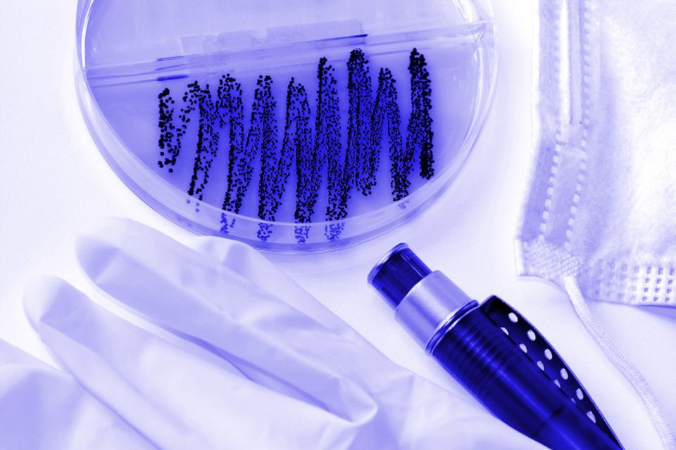 50 different strains of feared superbug MRSA circulating in Irish ...