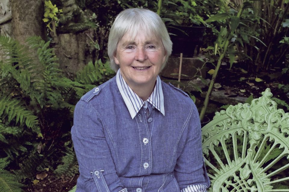 Write side with author Alice Taylor | Irish Independent
