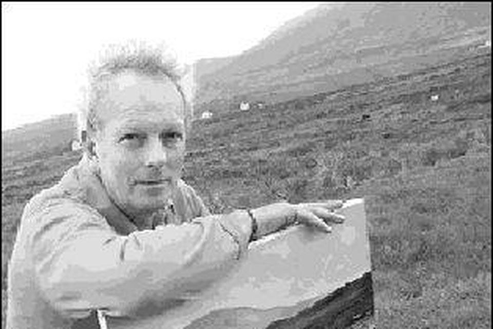 Sheep farming meets art in Tims view | Irish Independent