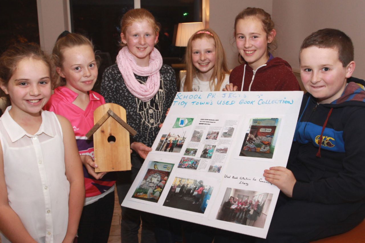 Pairc Mhuire high on the tidy town roll of honour | Independent.ie