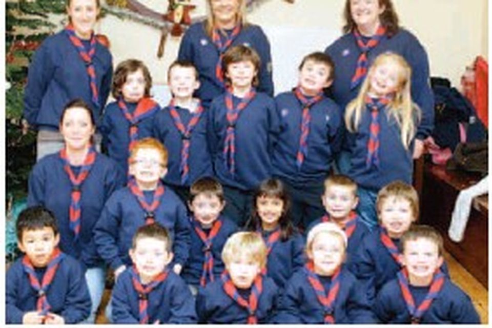 Beaver scouts welcomed | Irish Independent