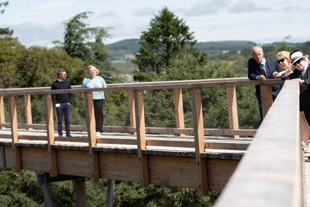 Five things to know about the new €19m treetop walk, viewing tower and ...