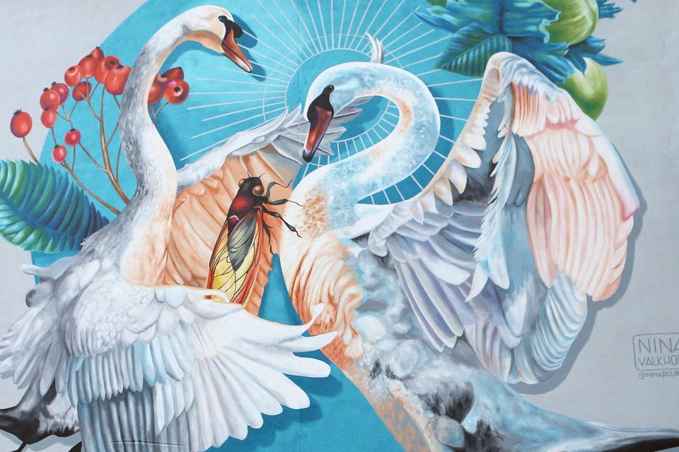 Drawda mural ‘Etain’ is officially the best in Ireland in competition ...