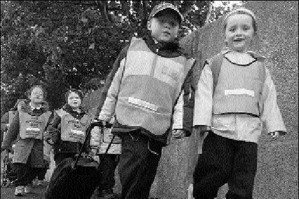 ‘Walking school bus’ an answer to parents’ prayers | Irish Independent