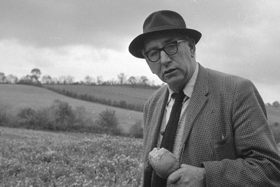 Why Patrick Kavanagh’s poetry still holds sway over us all | Irish ...
