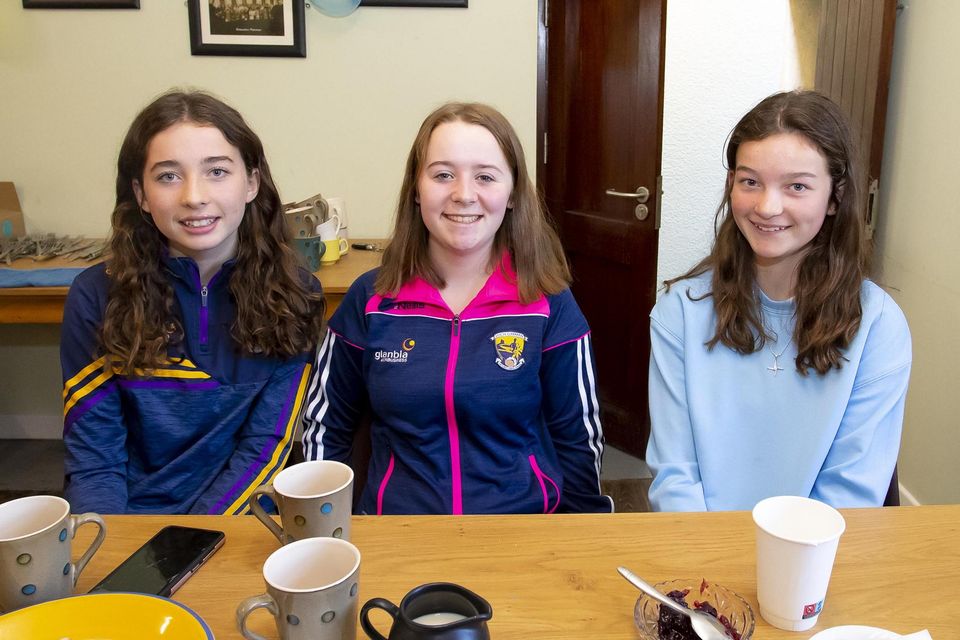 Gusserane GAA ladies host successful coffee morning | Irish Independent
