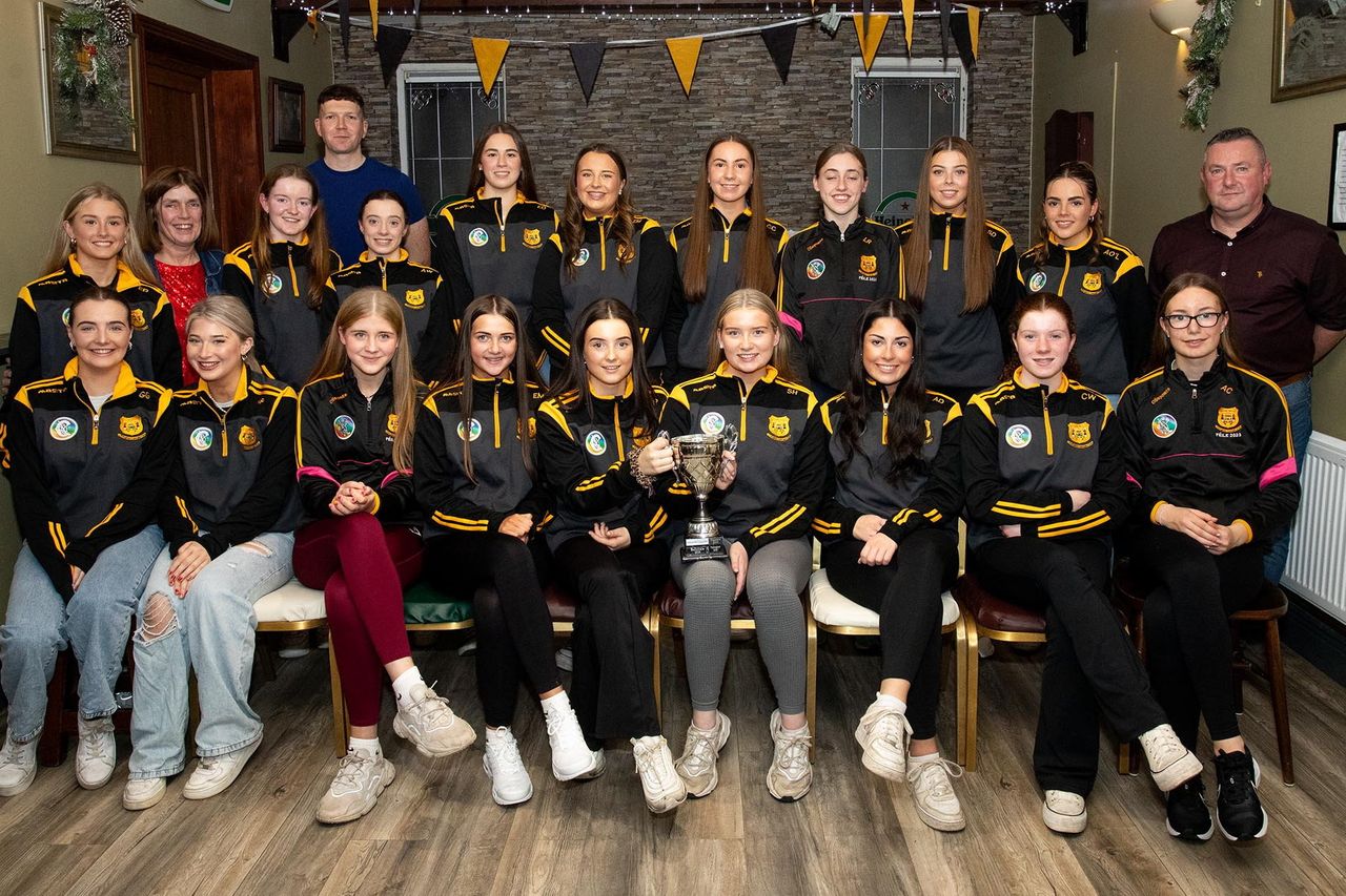 Huge haul of medals for Kilkenny camogie teams | Irish Independent
