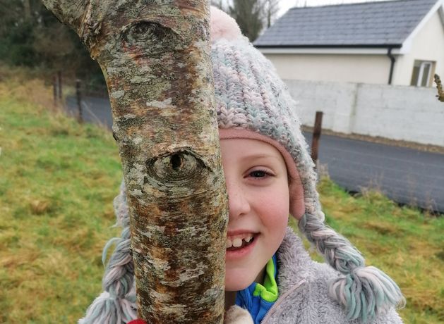 Clare and Galway students win big in National Tree Week photo contest ...