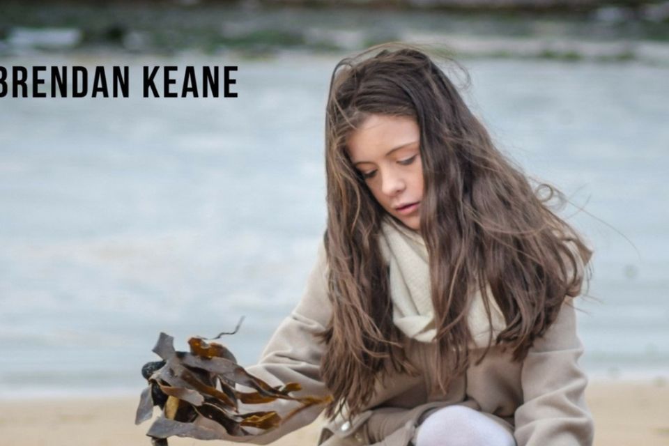 Musician Brendan releases charity single Perfect Day | Irish Independent