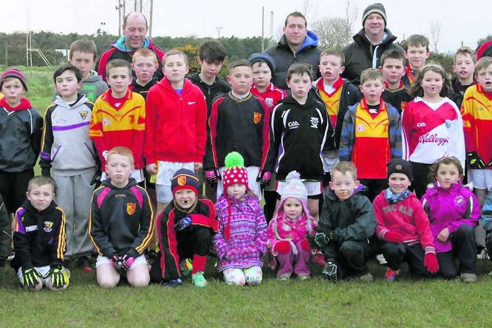 SARSFIELDS -- all the news | Independent.ie