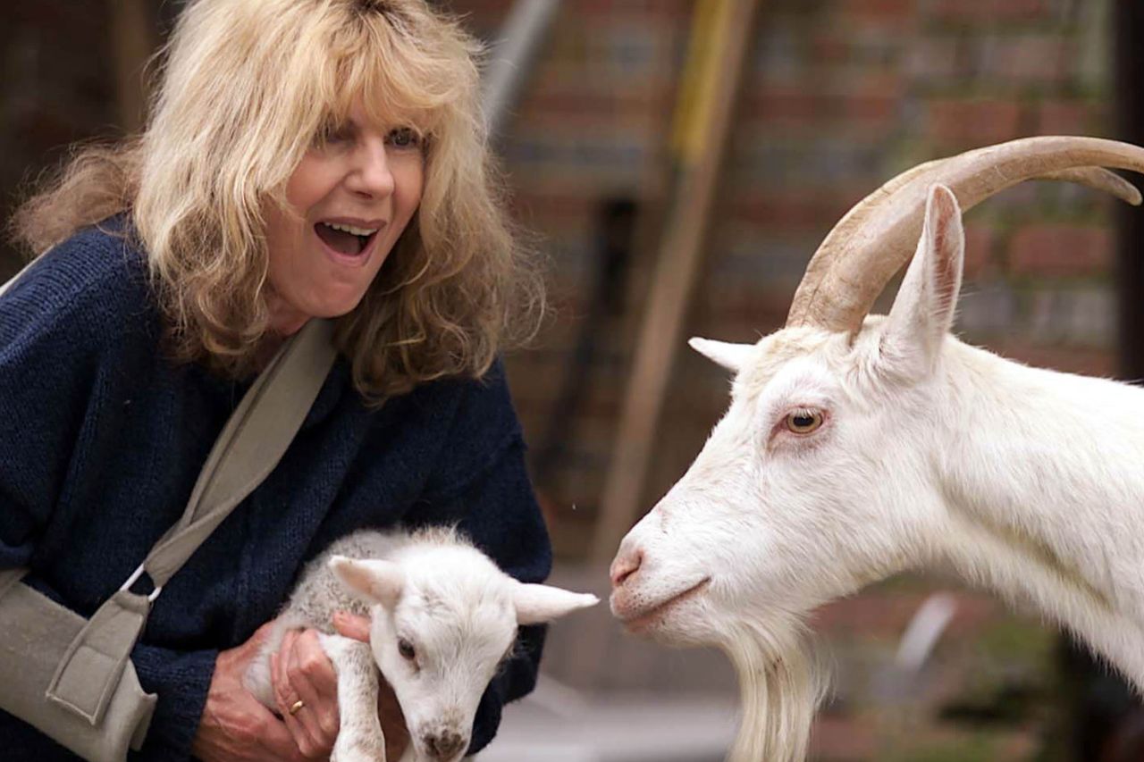 Carla Lane - the TV writer who dared to make women funny - dies aged 87 ...