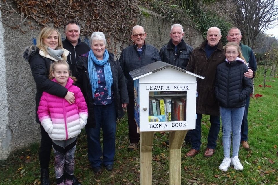 Community groups collaborate to create Little Free Library in Wicklow ...