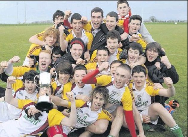 Silver lining at last for Mid-Louth combination | Irish Independent