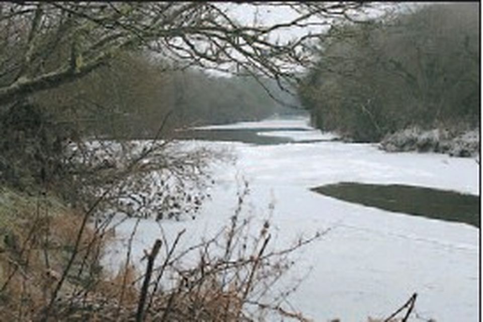 Frozen Feale is a fascinating sight | Irish Independent