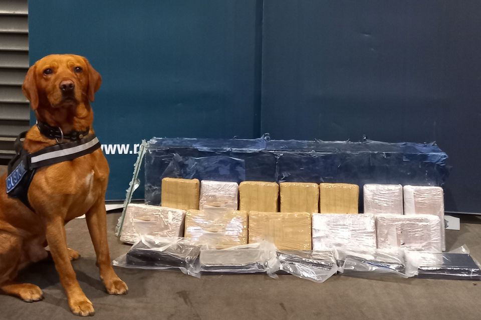 Two arrested as €1.26m of cocaine seized at Dublin Port | Irish Independent