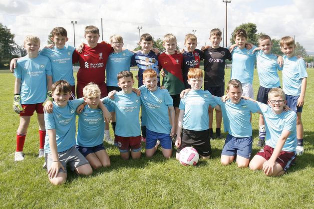 Around the Districts: Marshalstown-Castledockrell to Rathnure | Irish ...
